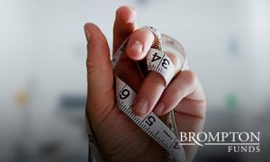Brompton Global Healthcare Income & Growth ETF | Brompton Funds
